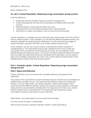 Week 6 Lab- Reproductive System - Week 6 Lab Instructions (Blended ...