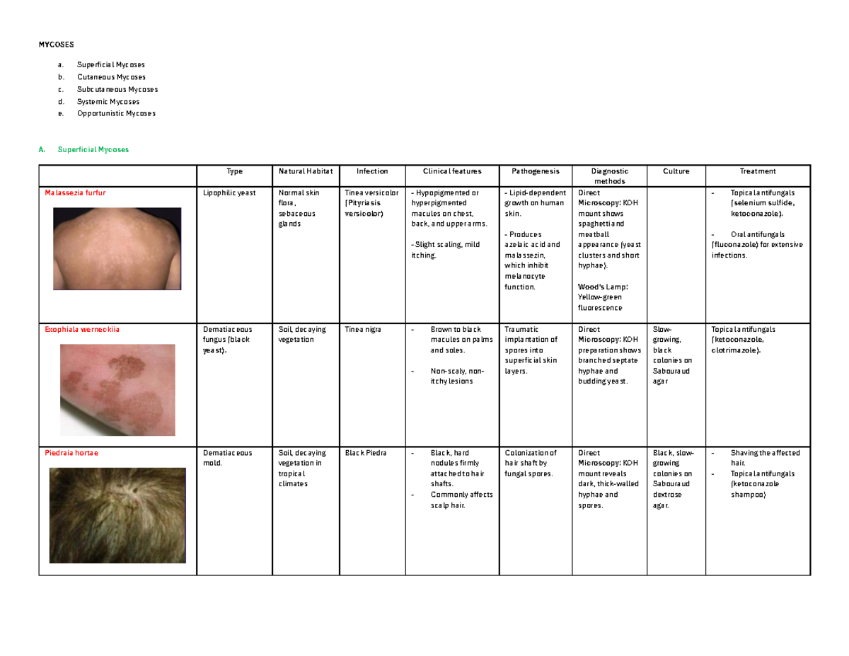 Mycoses Overview: Superficial, Cutaneous, Subcutaneous, and Systemic ...