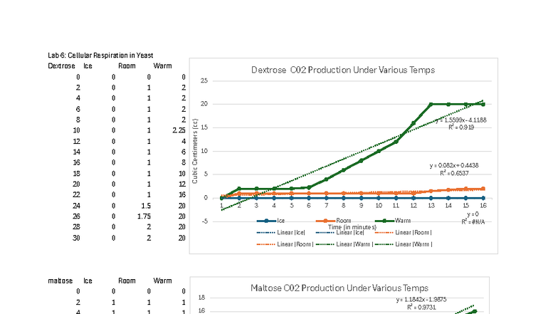 Biology Lab 6: CO2 Production from Sugars at Varying Temps - Studocu