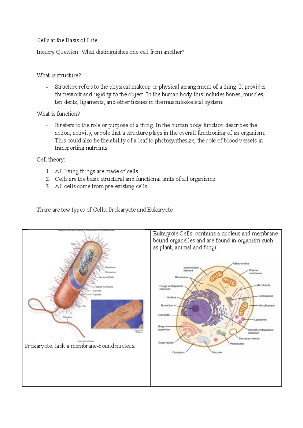 Biology Notes Module 1: Understanding Cell Structure & Function - Studocu