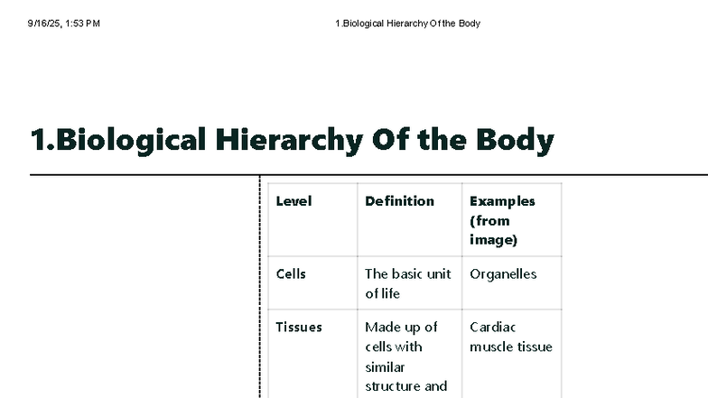 Biological Hierarchy of the Body: Cells, Tissues, Organs, and Systems ...