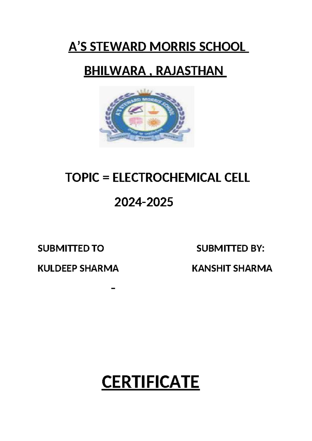 Electrochemical Cell Project - Class XII - Steward Morris School - Studocu