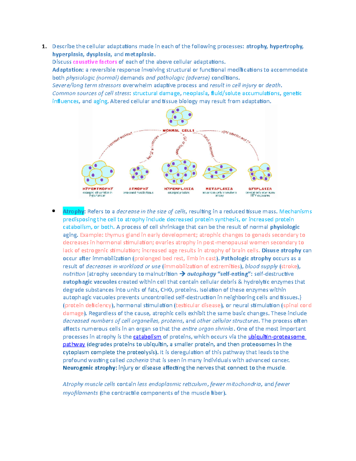 Cellular Adaptations - Lecture notes 1 - 1. Describe the cellular ...