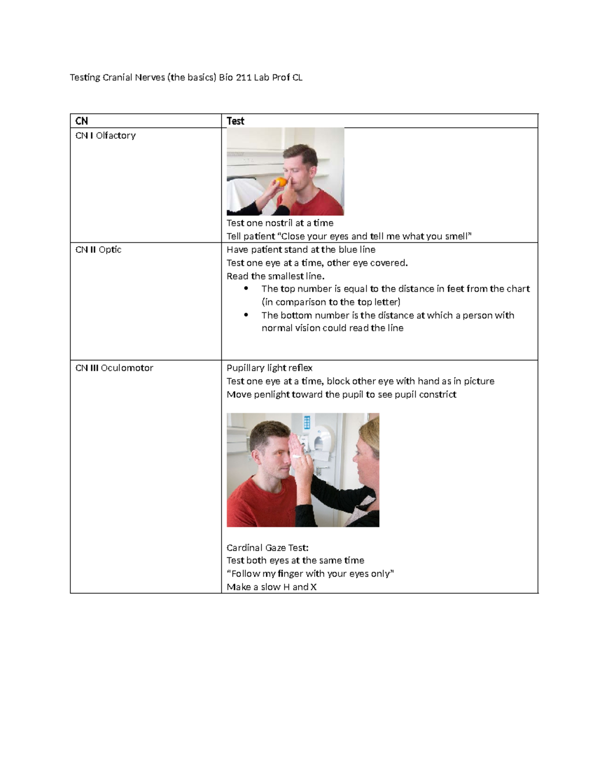 Bio 211 Lab - Cranial Nerve Exam Techniques and Guidelines - Studocu