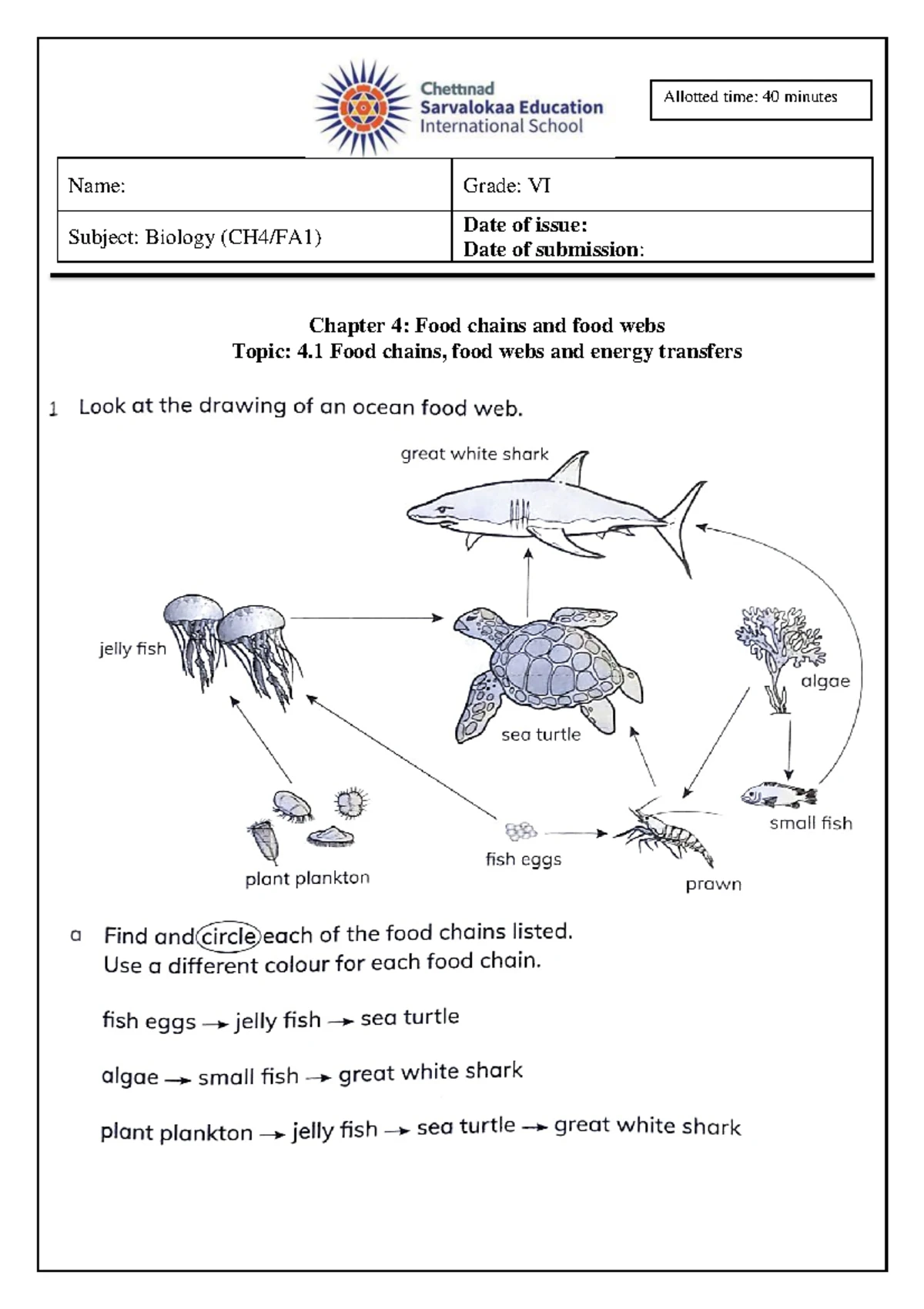 G6 Biology Ch4 SA 1 - Food Chains & Webs Formative Assessment - Studocu