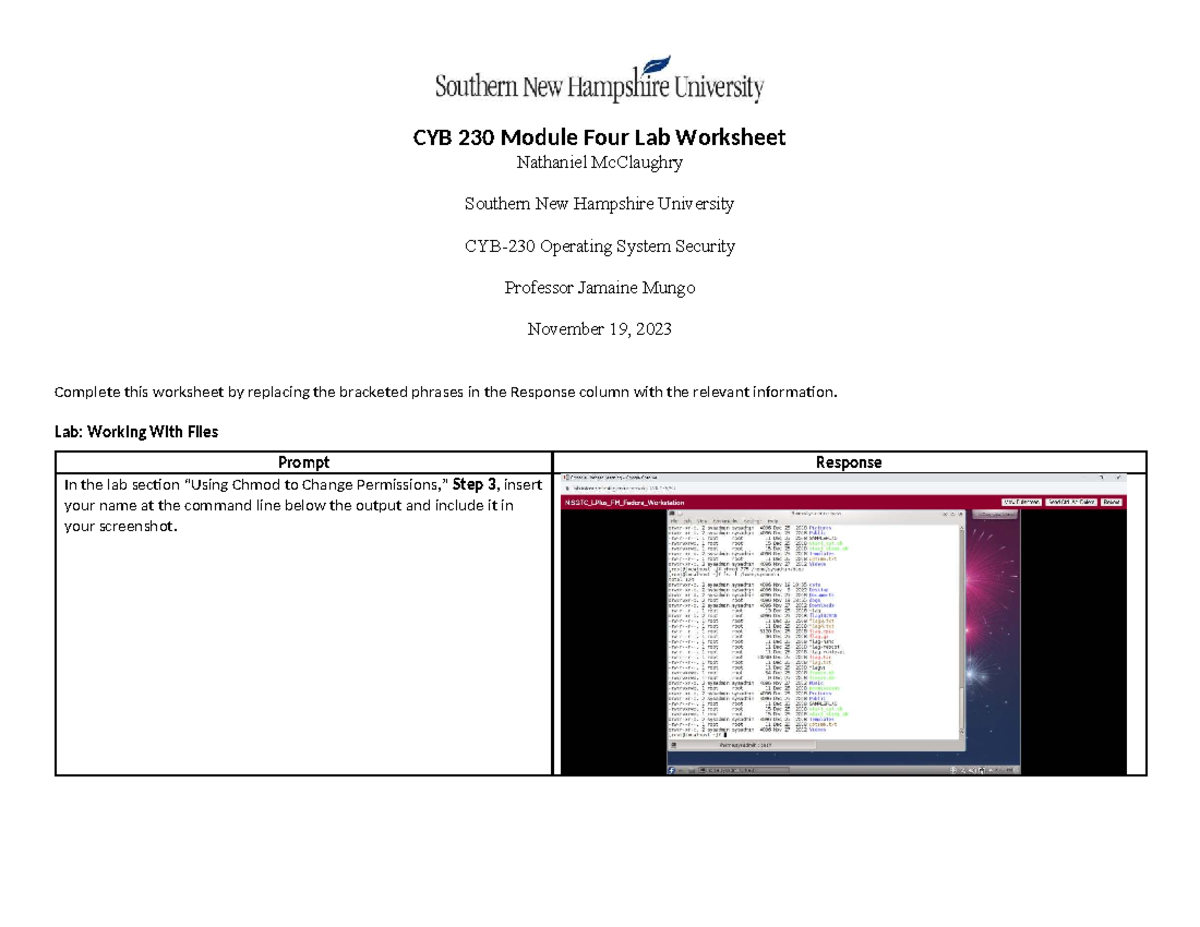 CYB 230 Module Four Lab Worksheet - CYB 230 Module Four Lab Worksheet ...