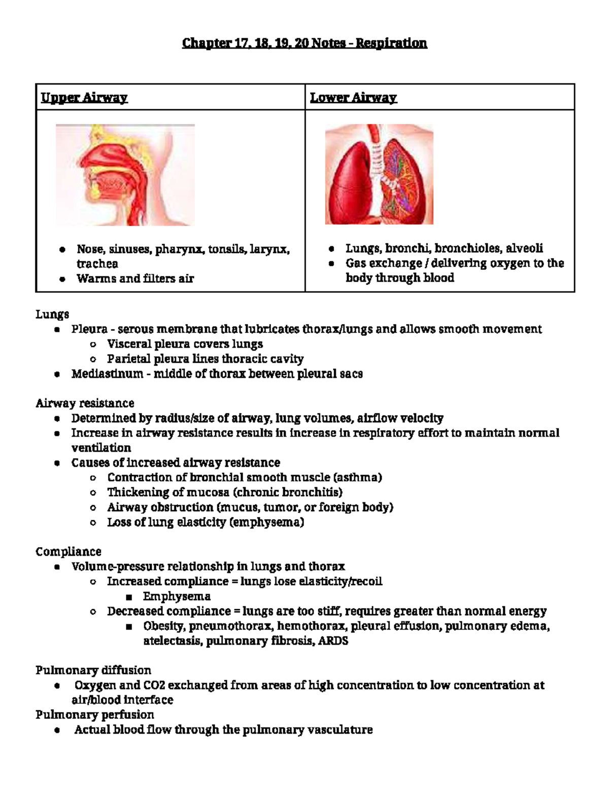 Chapter 17-20 Notes - Respiration Overview - Studocu