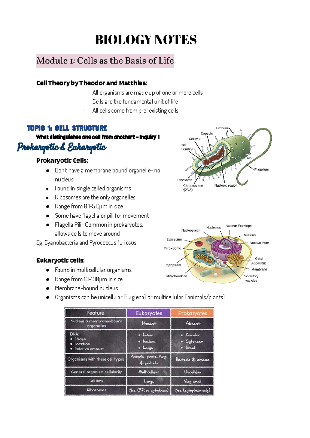 Biology Notes2024/25 - BIOLOGY NOTES Module 1: Cells as the Basis of ...