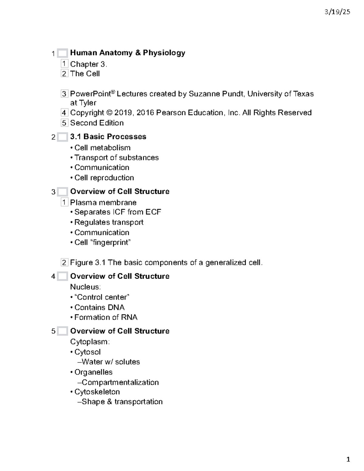 Human Anatomy & Physiology Chapter 3: The Cell Structure and Functions ...