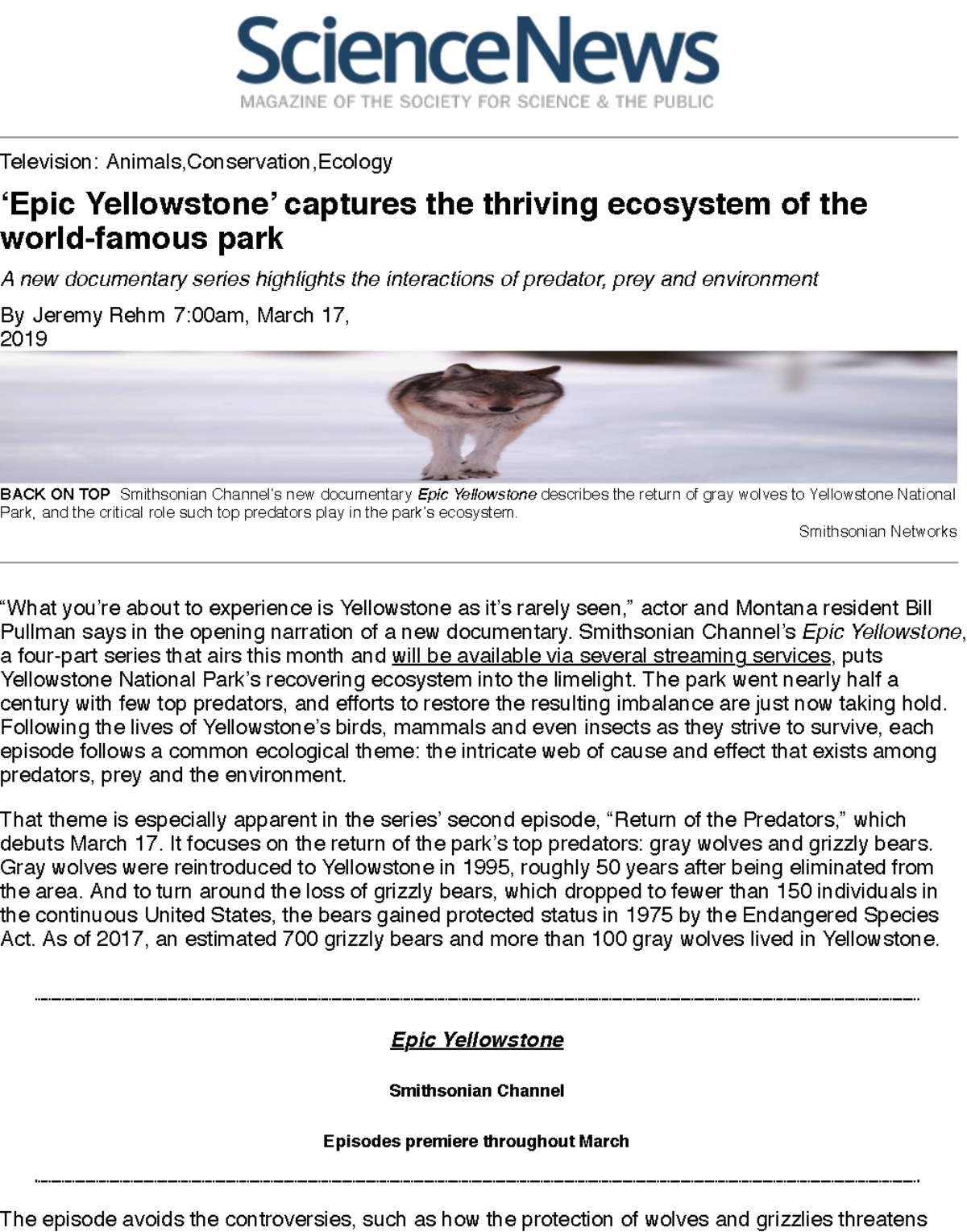 Copy of ‘Epic Yellowstone’ captures the thriving ecosystem of the world ...