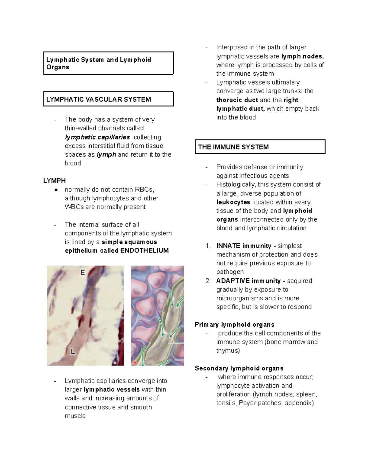 Lymphatic System and Immune Response Overview (BIO 101) - Studocu