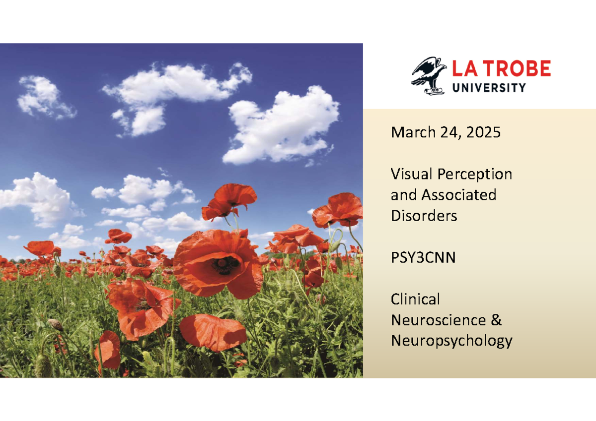 Visual Perception & Disorders: Insights from PSY3CNN Lecture 2025 - Studocu