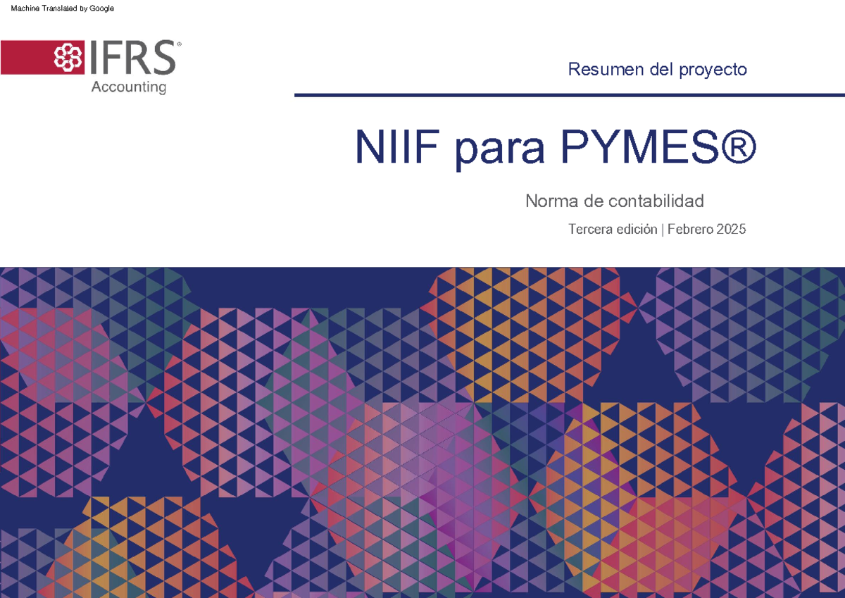 Project-summary Spanish - NIIF para PYMES® Norma de contabilidad ...