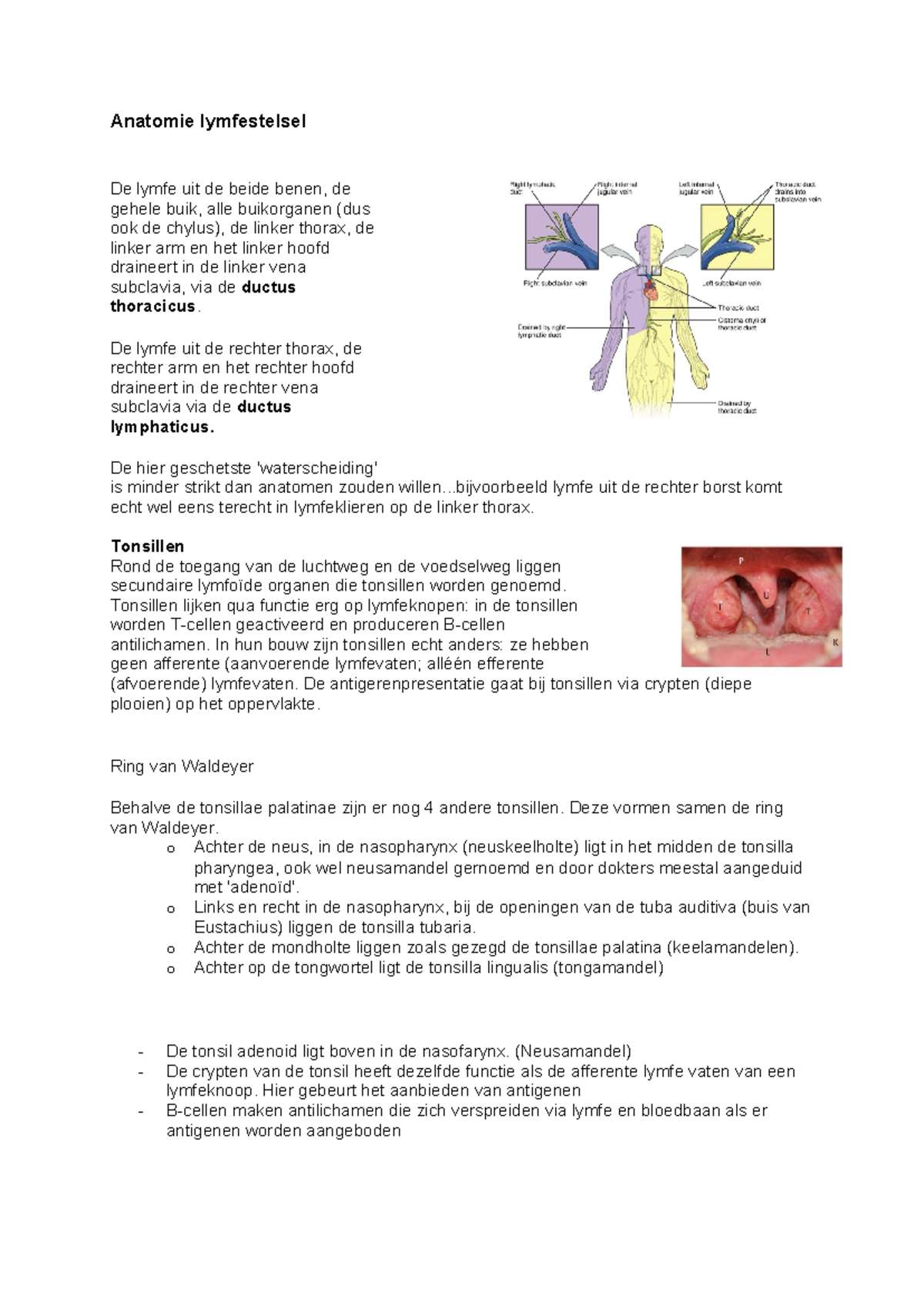 Anatomie Lymfestelsel: Drainage en Functie van Lymfe in het Lichaam ...
