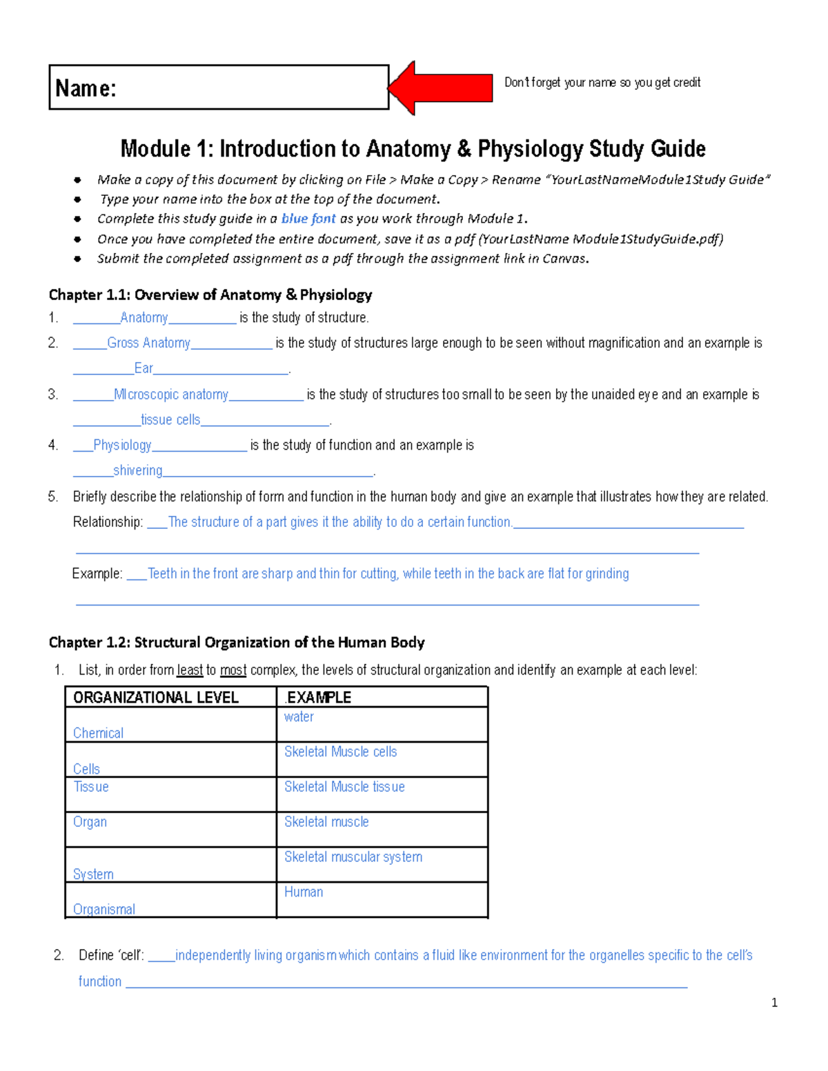 Module 1 Study Guide: Introduction to Anatomy & Physiology (BIO 141 ...