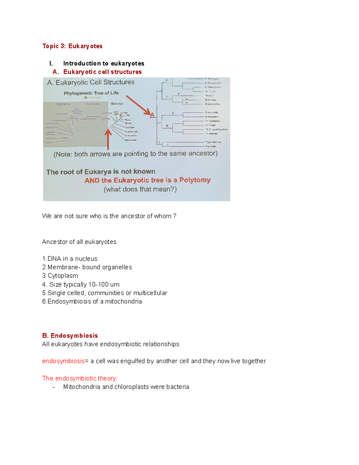 Biology 2 topic 3 - Topic 3: Eukaryotes I. Introduction to eukaryotes A ...