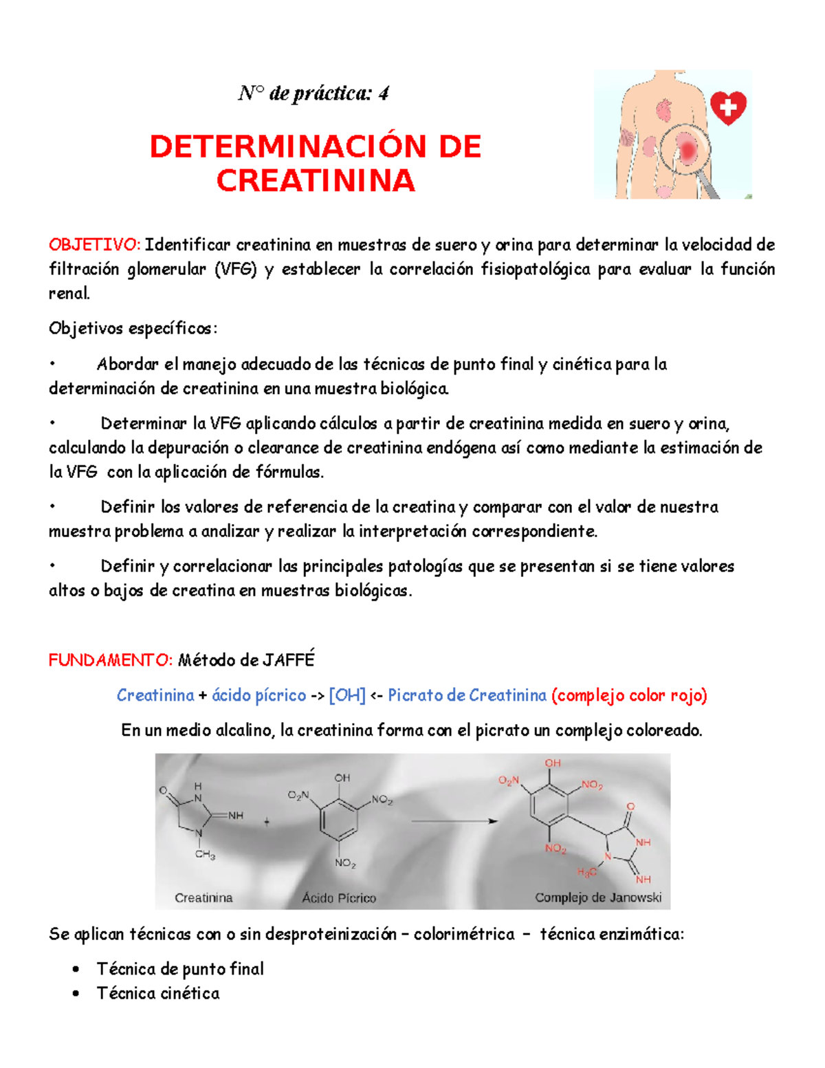 Practica de creatinina - N° de práctica: 4 DETERMINACIÓN DE CREATININA ...
