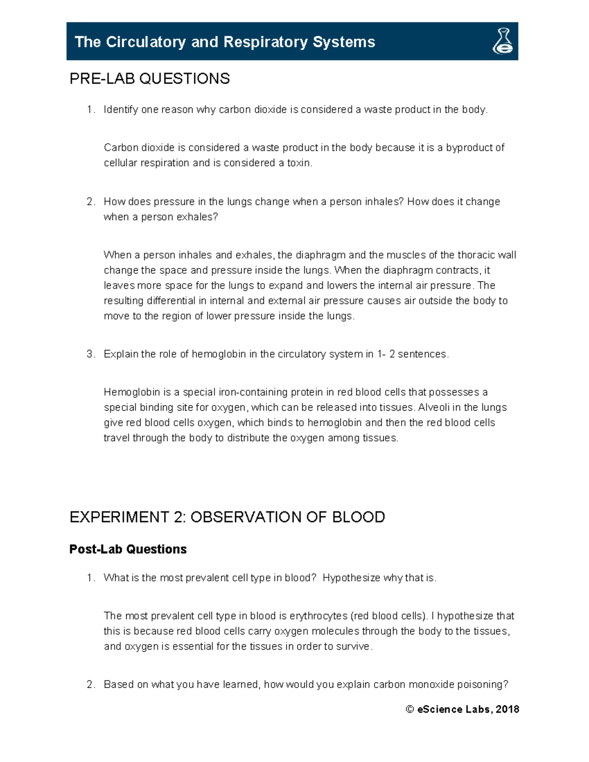 Circulatory & Respiratory Systems: Lab Questions & Observations - Studocu