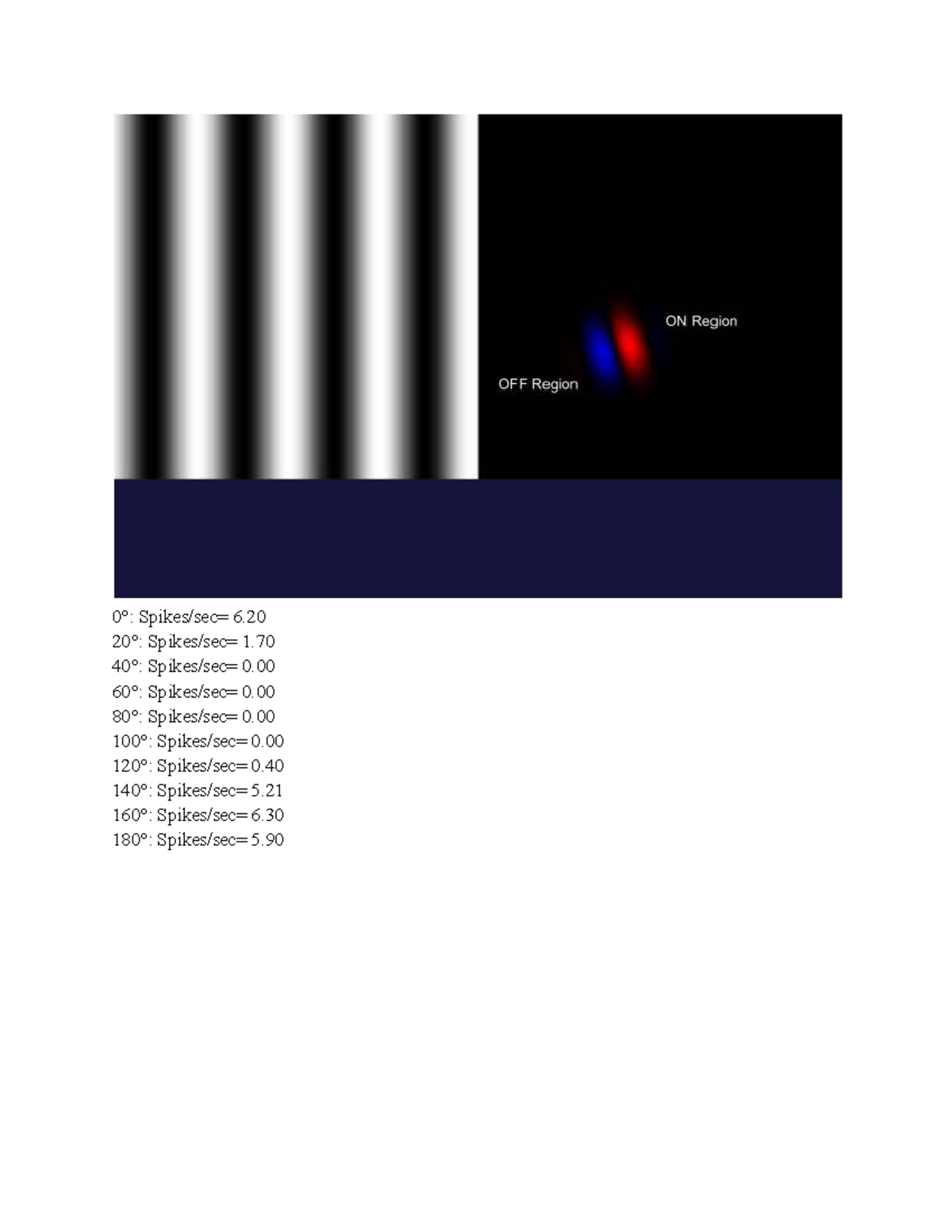 M116A Lab 2: Analyzing Spatial Tuning Curves and Thresholds - Studocu