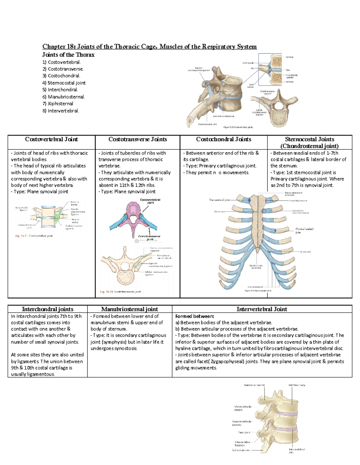 Chapter 18 - Joints of the Thoracic Cage. Muscles of the Respiratory ...