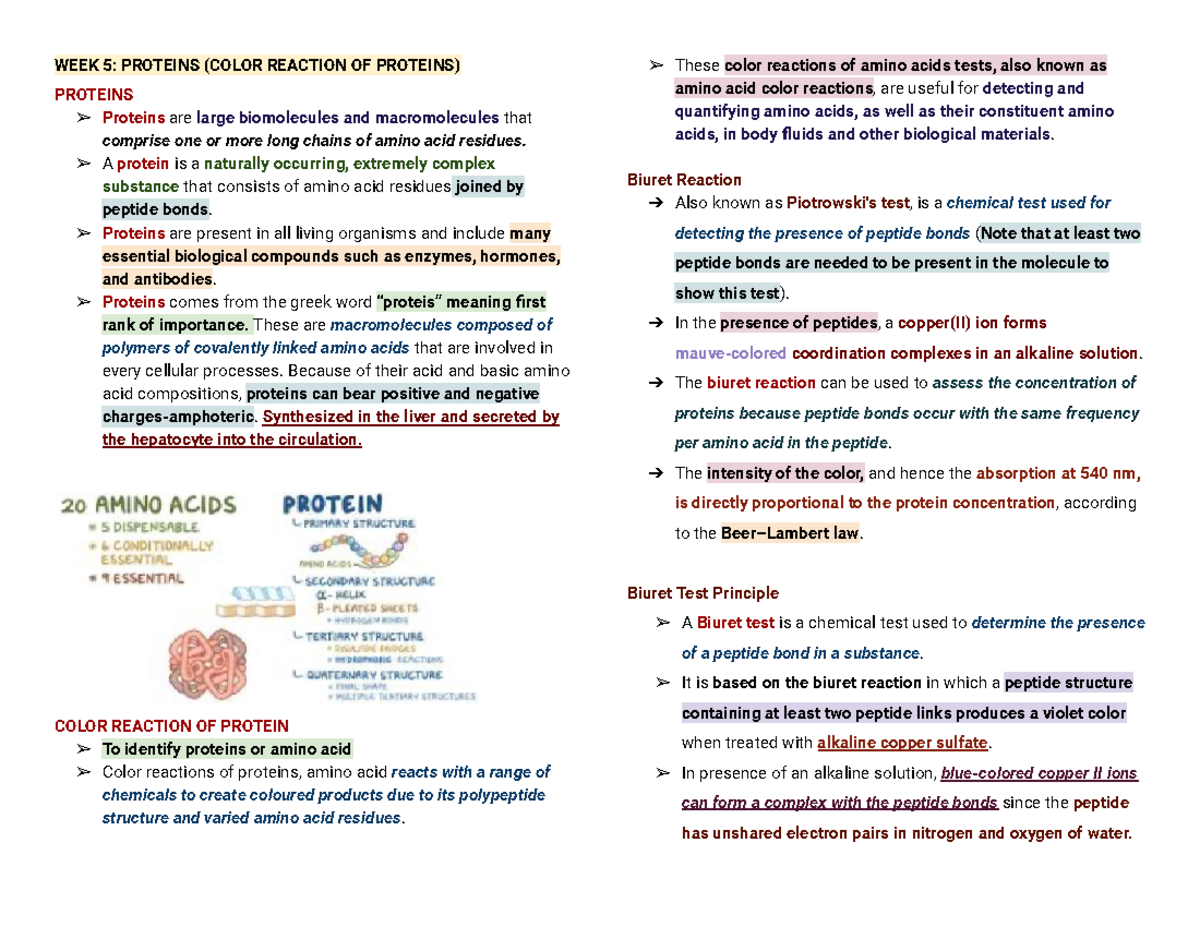 Biochem LAB - lab - WEEK 5: PROTEINS (COLOR REACTION OF PROTEINS ...
