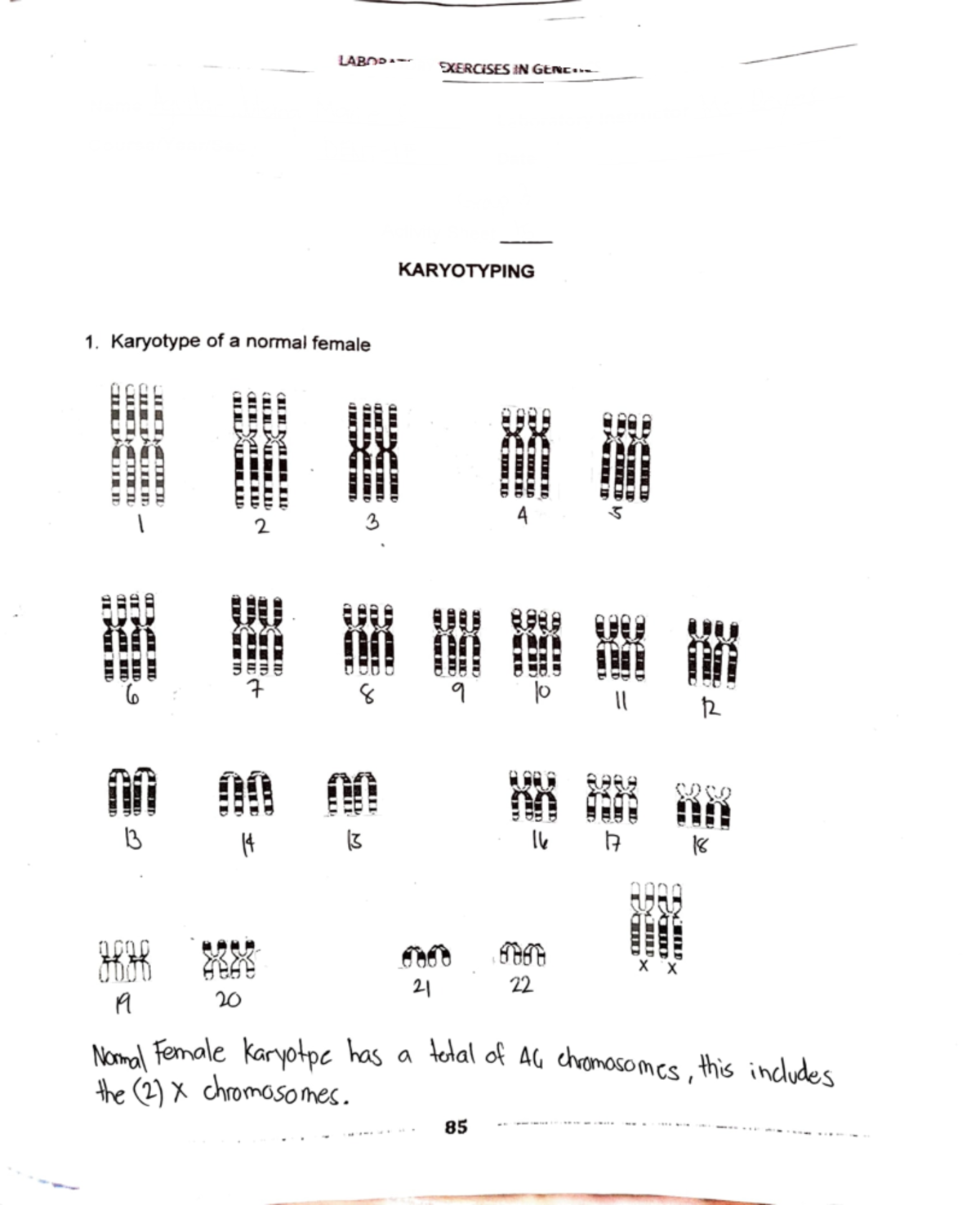 Laboratory exercise 15 - EXERCISES KARYOTYPING 1. Karyotype of normal ...