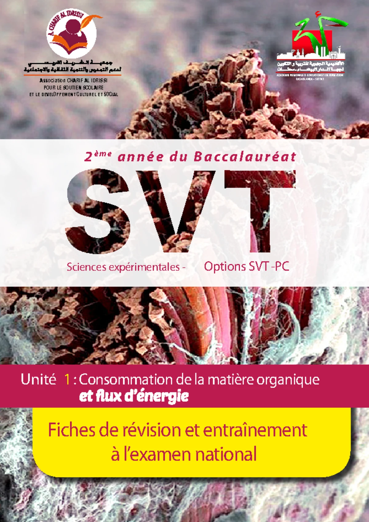Types de leviers : Inter-appui, inter-résistant et inter-moteur - Studocu