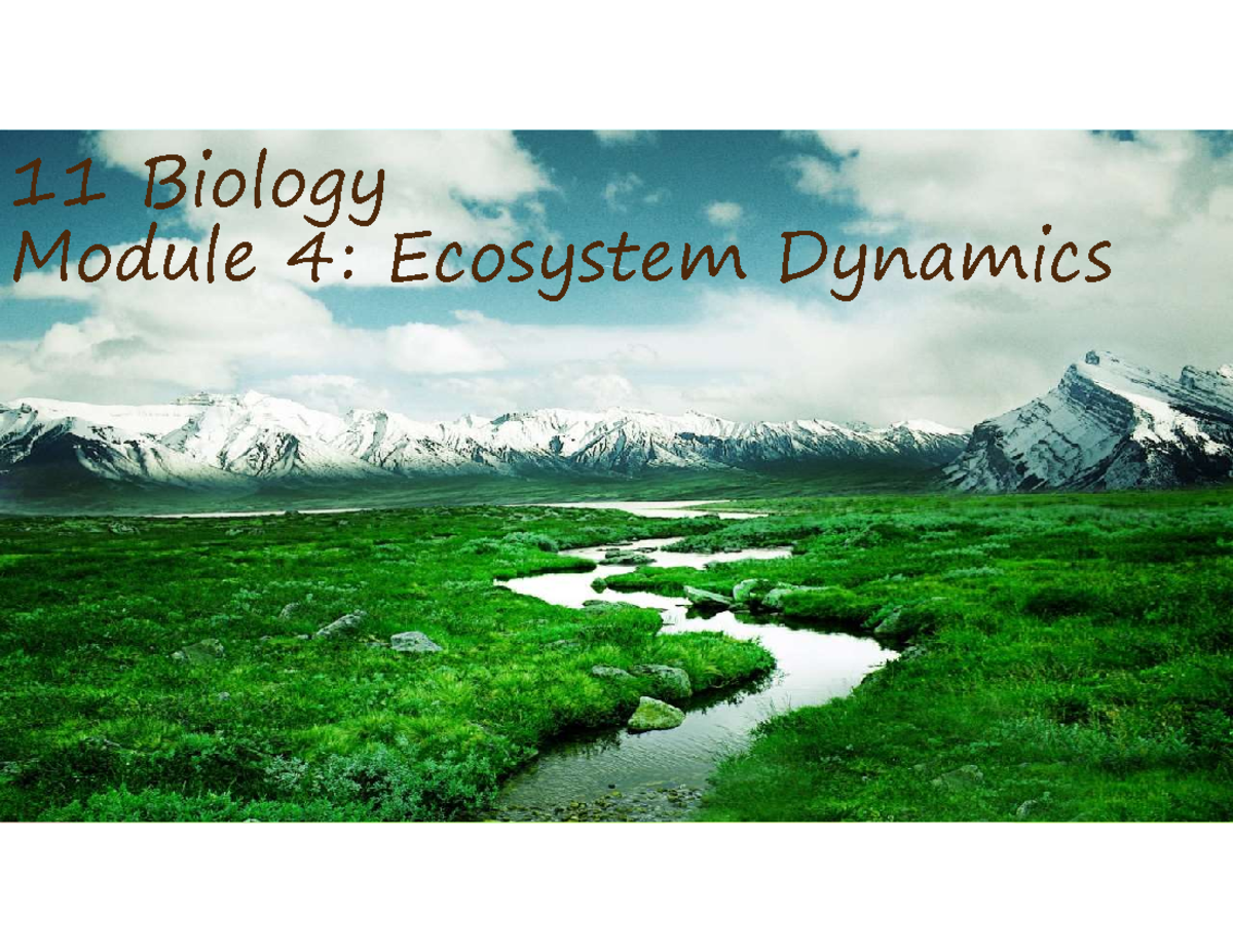 Biology 11 Module 4.1: Population Dynamics and Ecosystem Interactions - Studocu