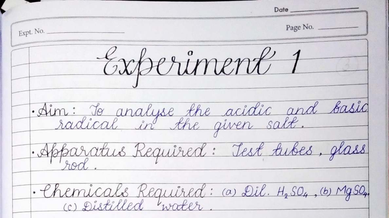 Chem Practical File 1: Acidic & Basic Radical Analysis - Studocu