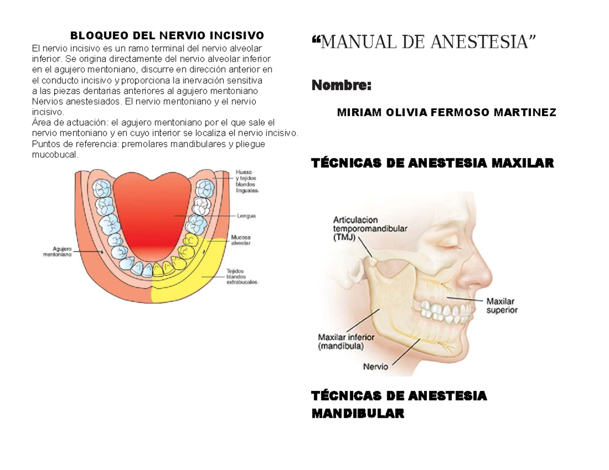 Manual de Anestesia Local: Técnicas y Bloqueos Nerviosos - Studocu