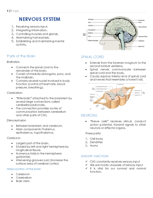 26 FDAR - MEDICAL – SURGICAL NURSING RLE 99 FOCUS CHARTING TRADITIONAL ...