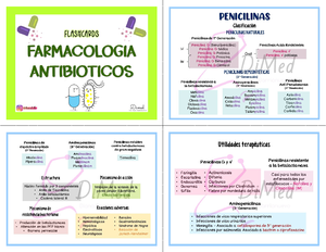 Cuestionario sobre el capítulo 9 y 23 de fisiología de Guyton - Warning: TT: undefined function ...