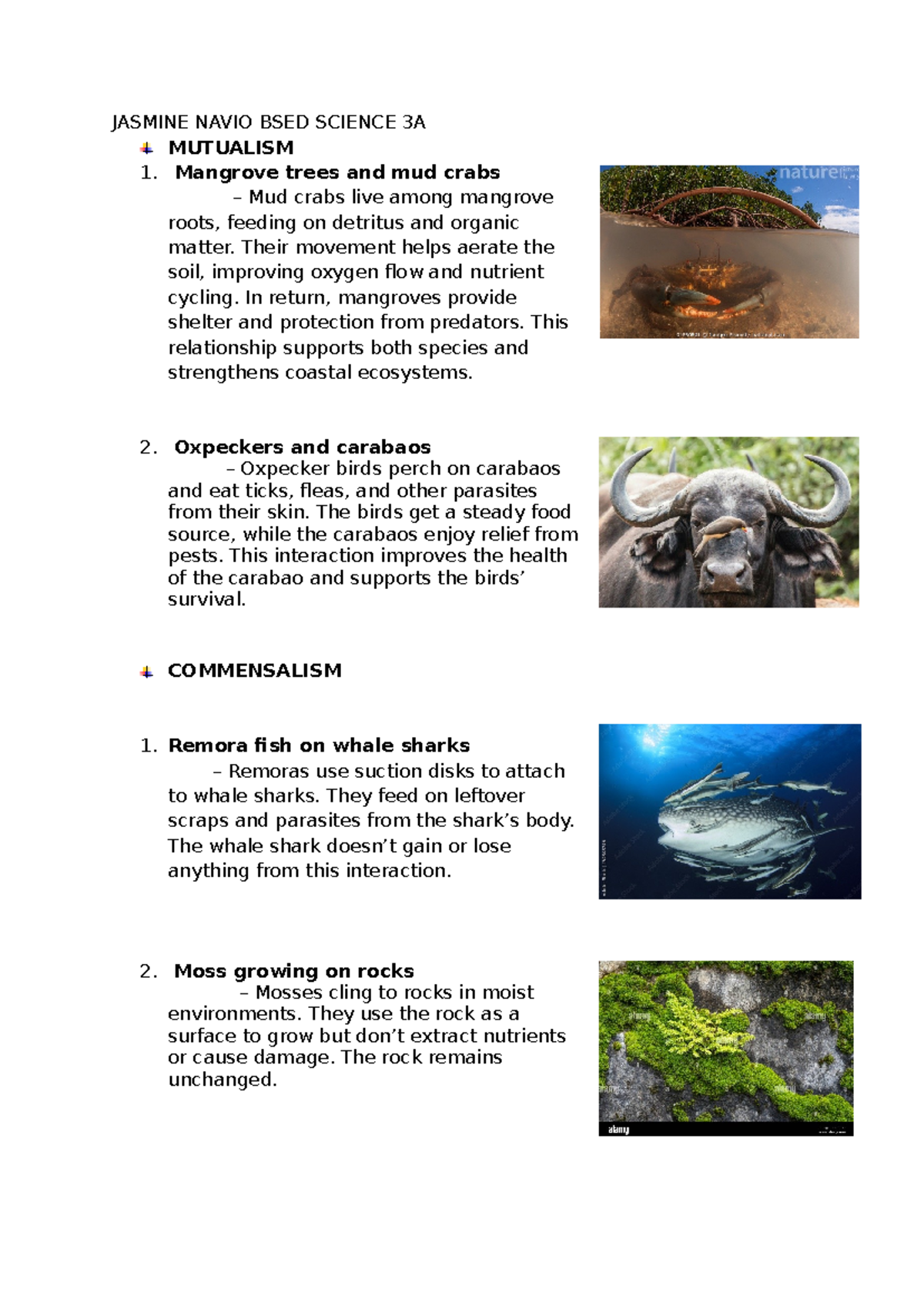 BSED SCIENCE 3A: Mutualism, Commensalism, Parasitism & Predation - Studocu