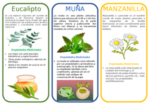 PLAN DE Cuidados - Cólico Abdominal Severa, Acompañada CON Náuseas ...