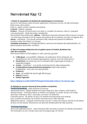 Kap 15 Sensoriska och somatiska nervsystemet - Afferenta - inåtledande ...