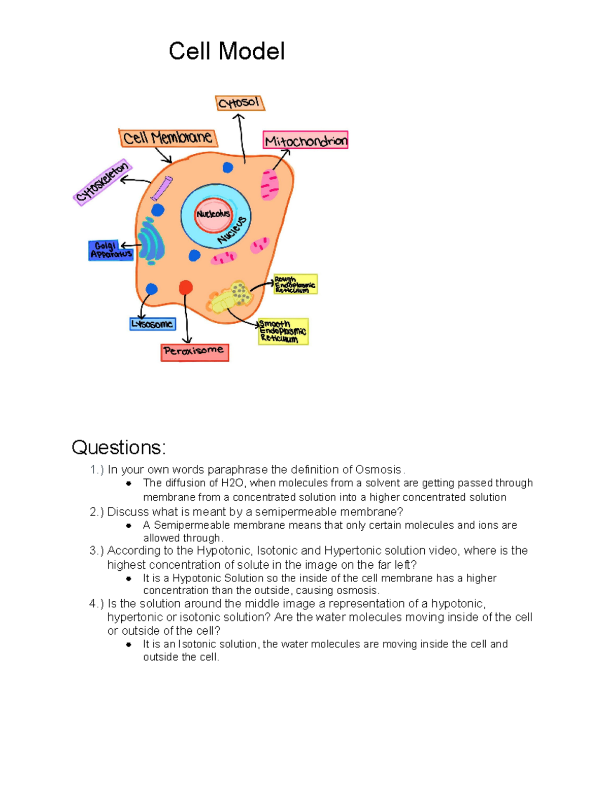 Cells and Osmosis: Understanding Hypertonic, Hypotonic, and Isotonic ...