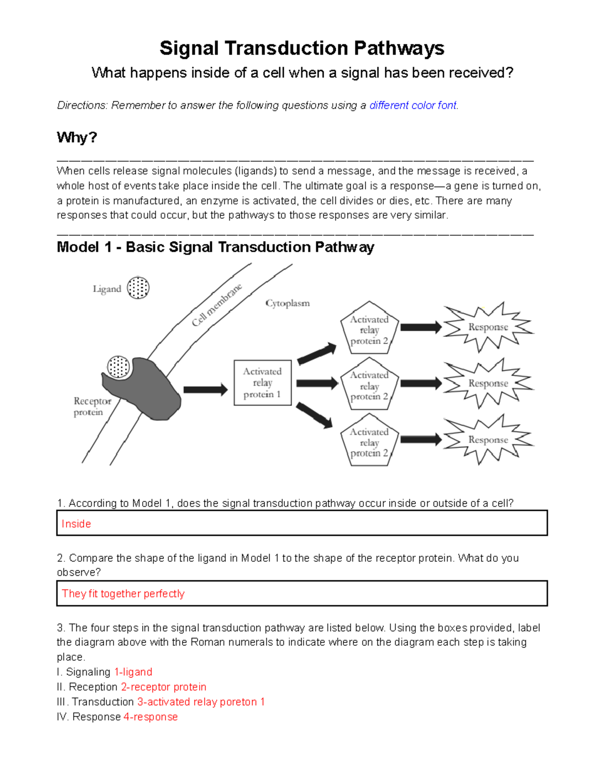 Pogil 13: Exploring Signal Transduction Pathways - Key Concepts and Models - Studocu