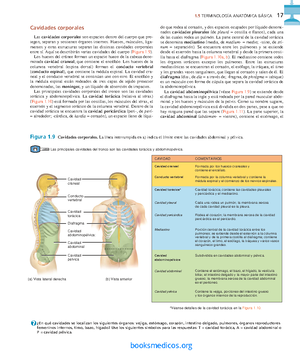 GEN DE LA Filagrina - GEN DE LA FILAGRINA Está localizado en el ...
