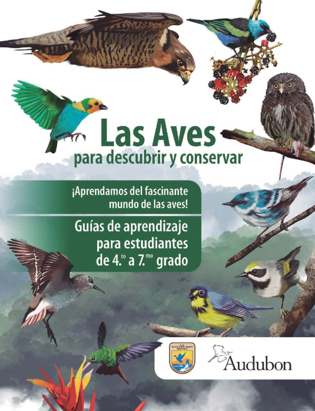 Guía de Aprendizaje sobre Aves y Ecosistemas para Grados 4to a 7mo ...