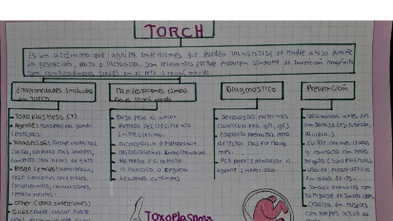 TORCH: Infecciones Congénitas y Riesgos Fetales en Recién Nacidos - Studocu