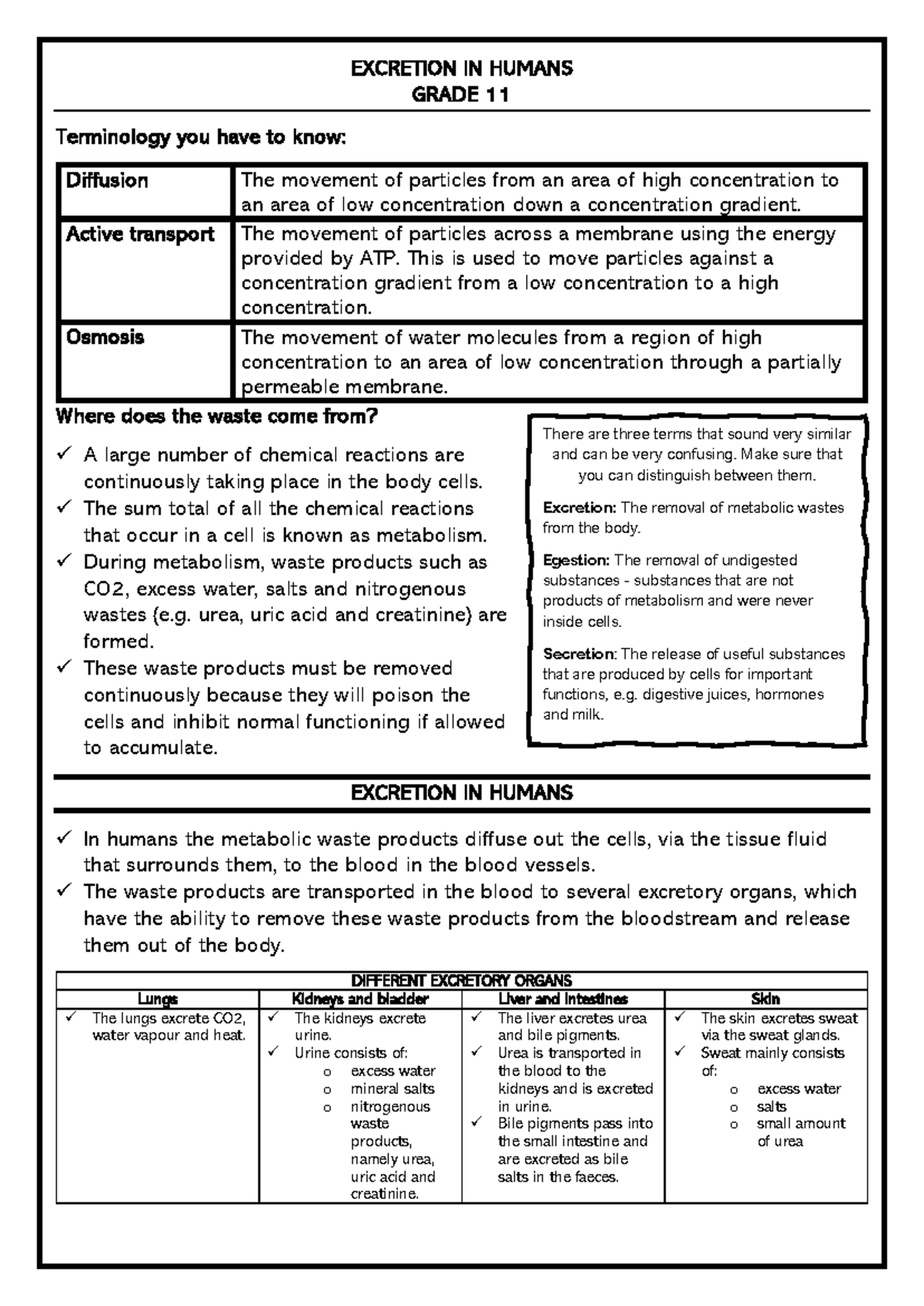 Grade 11 Excretion in Humans - Comprehensive Study Notes - Studocu