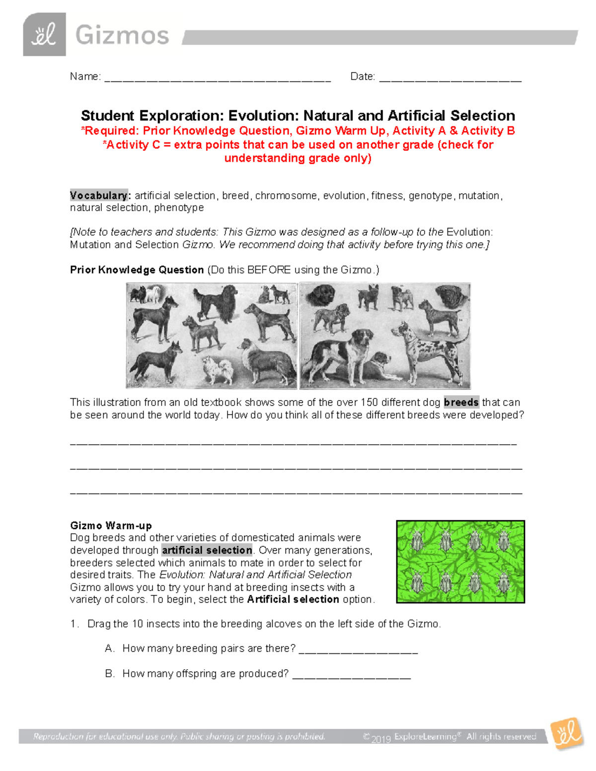 Evolution: Natural & Artificial Selection - Student Answer Sheet - Studocu