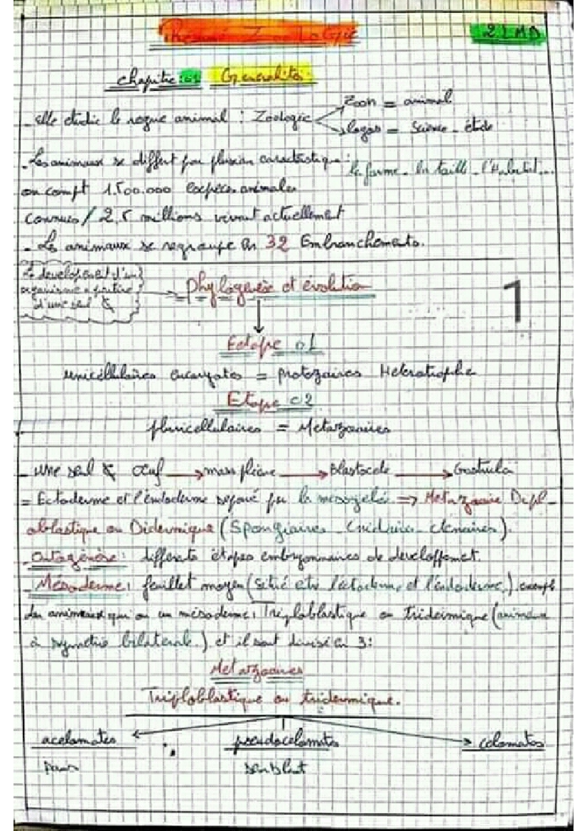 Résumé 6 Zoologie L2: Classification et Caractéristiques des Animaux ...