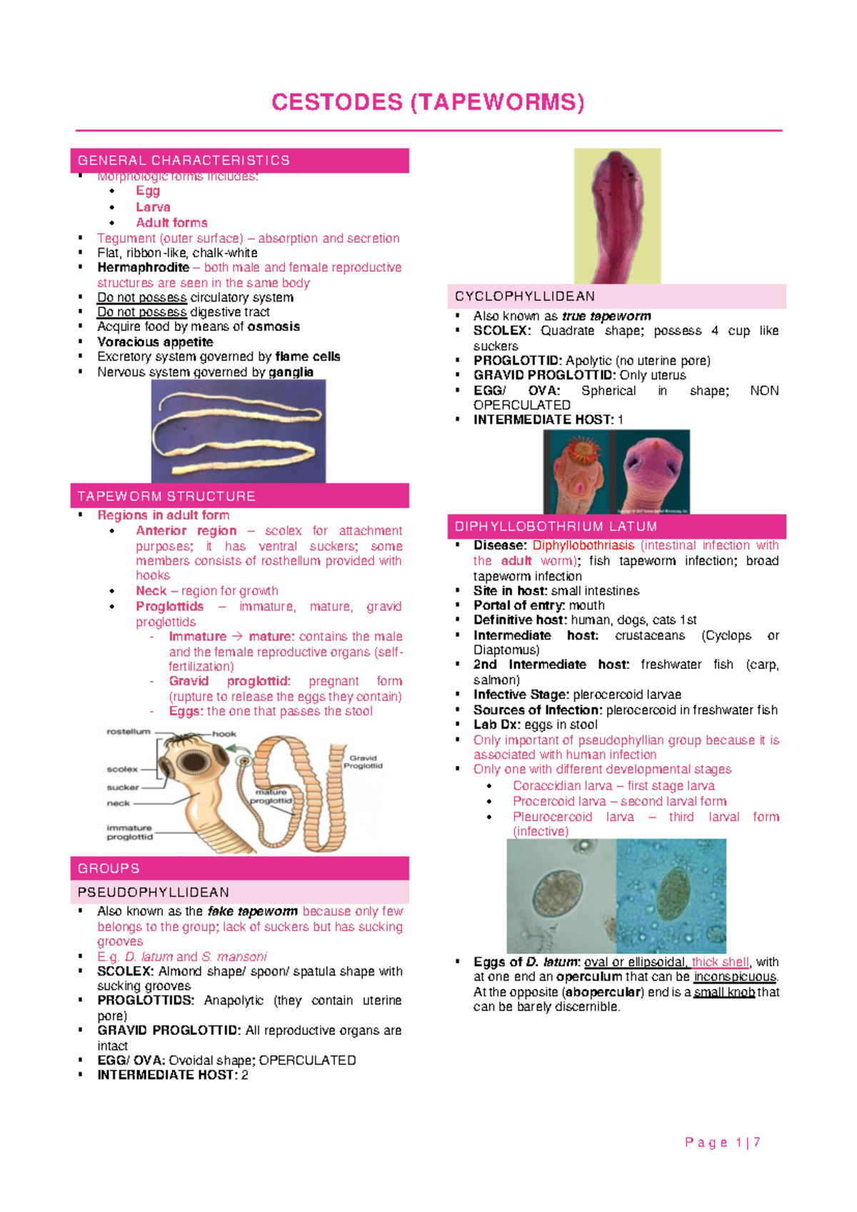 Cestodes: Comprehensive Overview of Tapeworms in Parasitology - Studocu