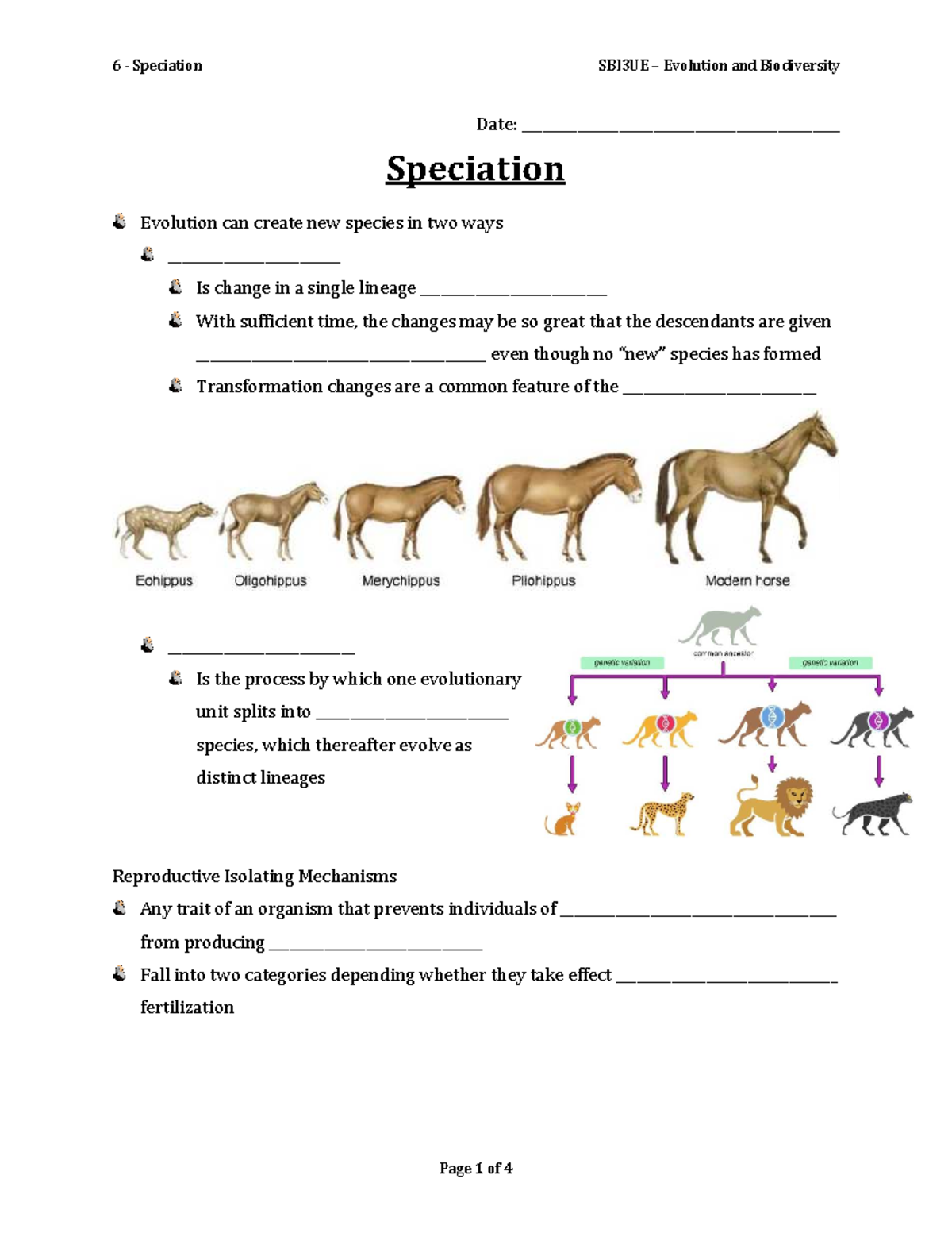 Speciation and Evolution: SBI3UE Notes on Biodiversity - Studocu