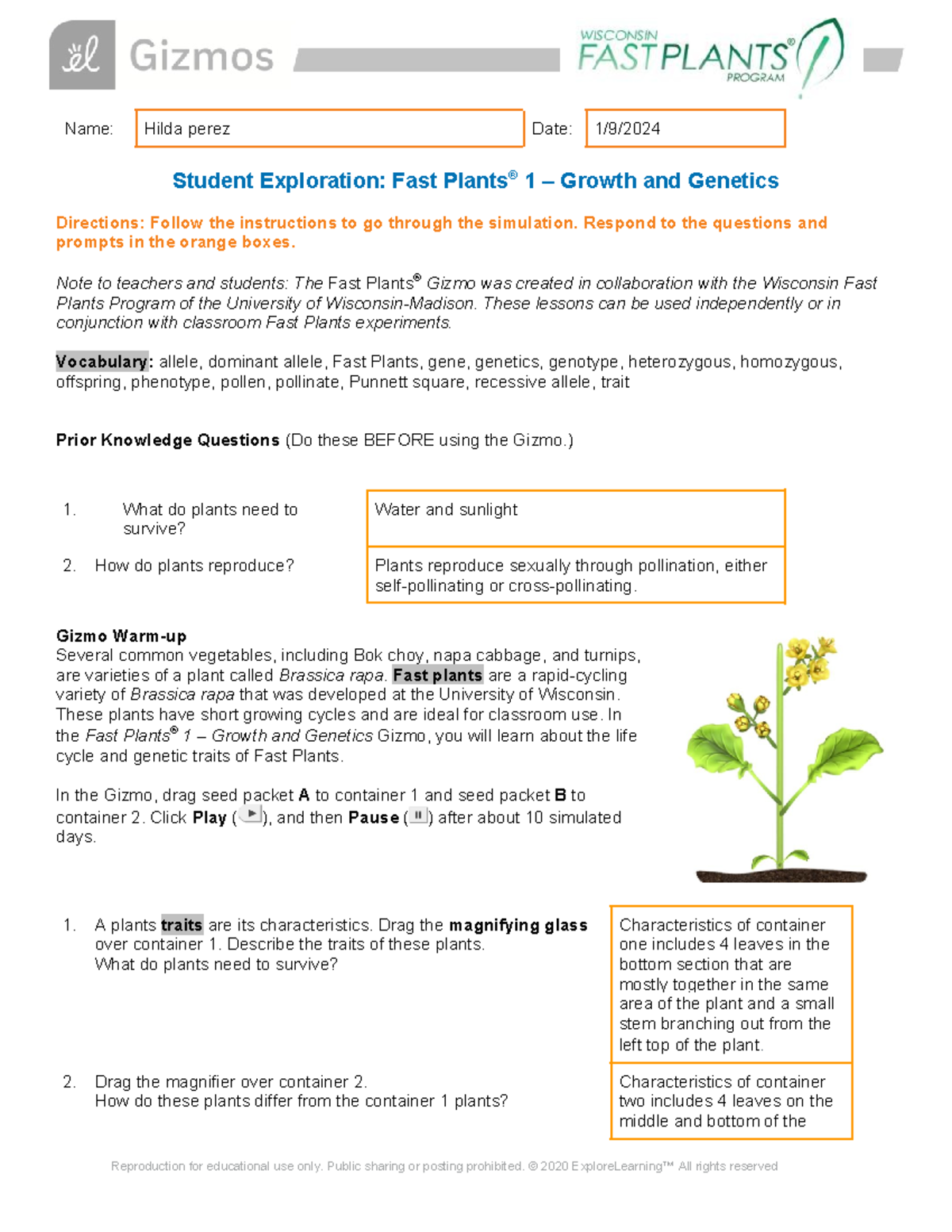 Fast Plants 1SE Gizmo Exploration: Growth and Genetics Overview - Studocu