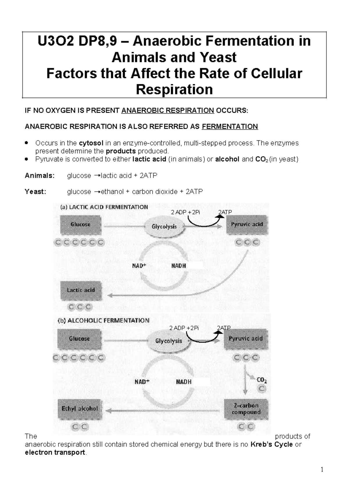 Notes on U3O2 DP8,9: Anaerobic Fermentation & Cellular Respiration ...