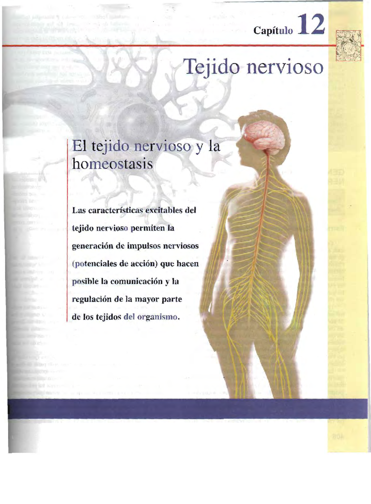 Gérard J. Tortora, Bryan Derrickson-Principios de anatomía y fisiología ...