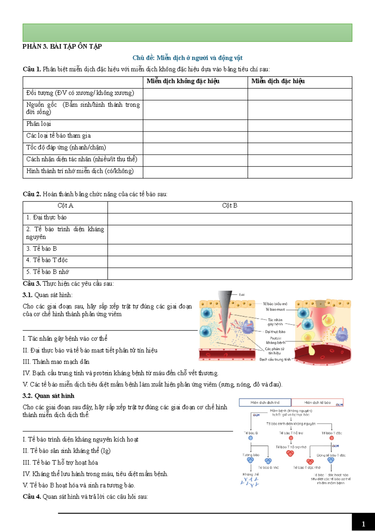 PHẦN 3 - sinh 11 - bài tập ôn tập sinh 11 - PHẦN 3. BÀI TẬP ÔN TẬP Chủ ...