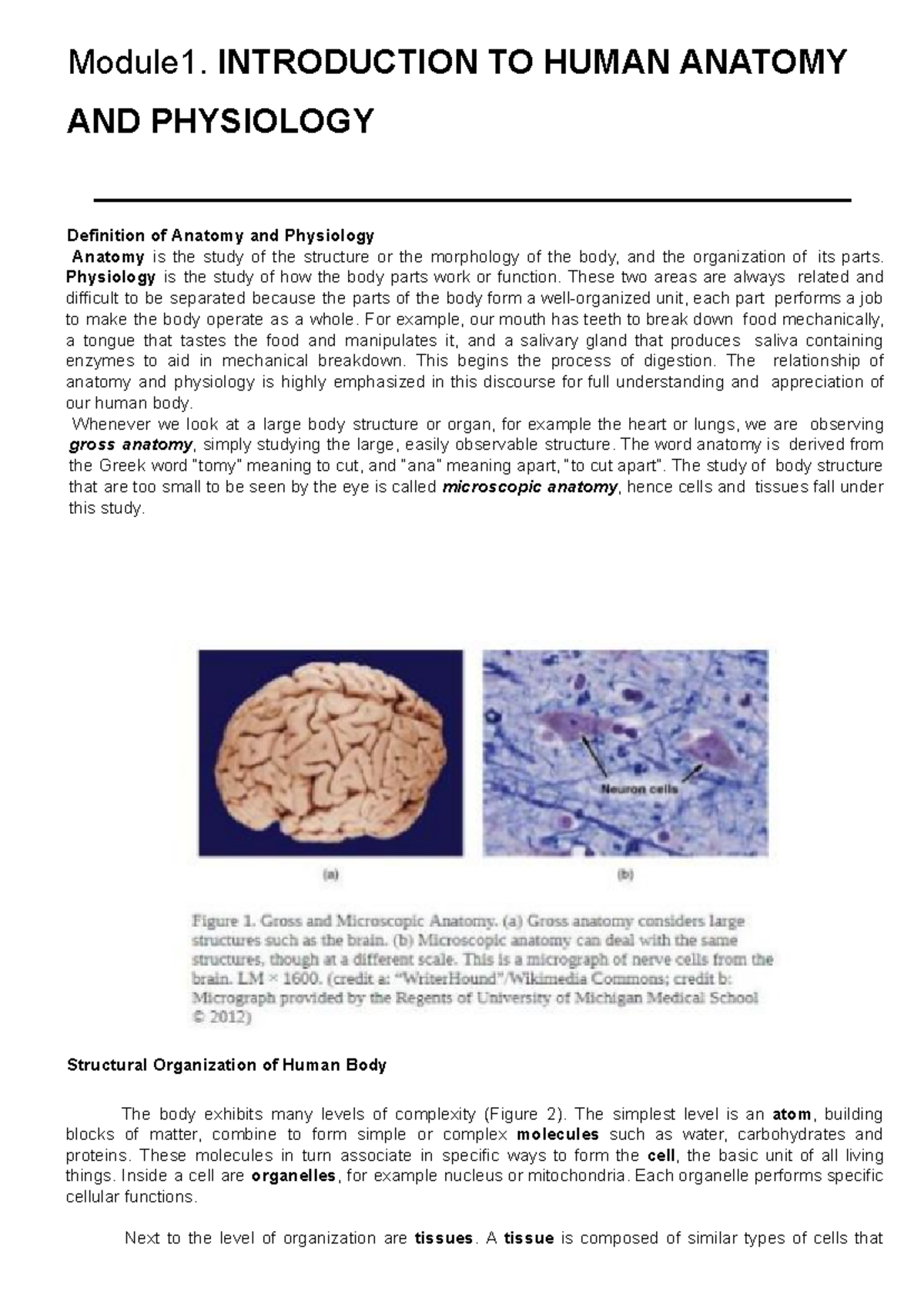 Module 1 Introduction to Human Anatomy and Physiology - Module1 ...